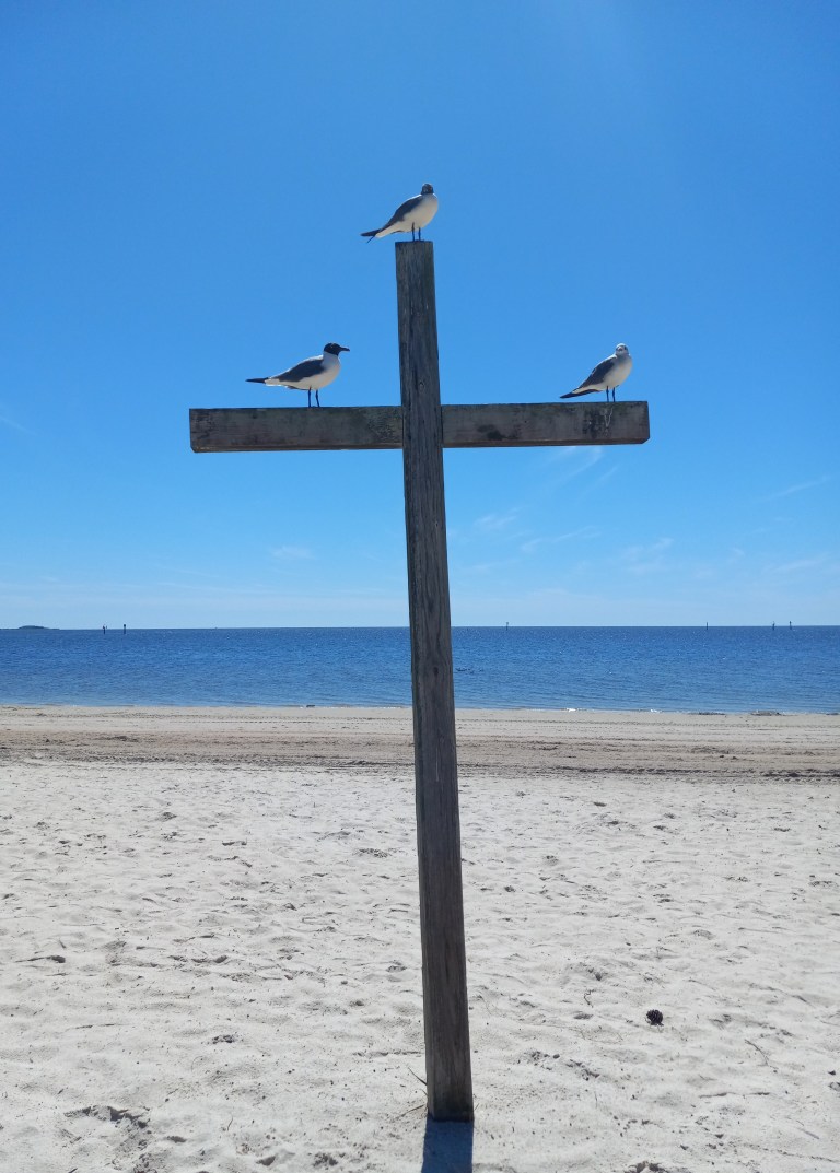 EXCELLENT – Jesus Christ is Lord