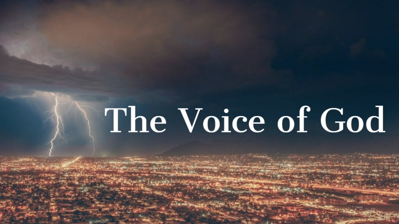 SHOUT – Lovewise Women Ministries