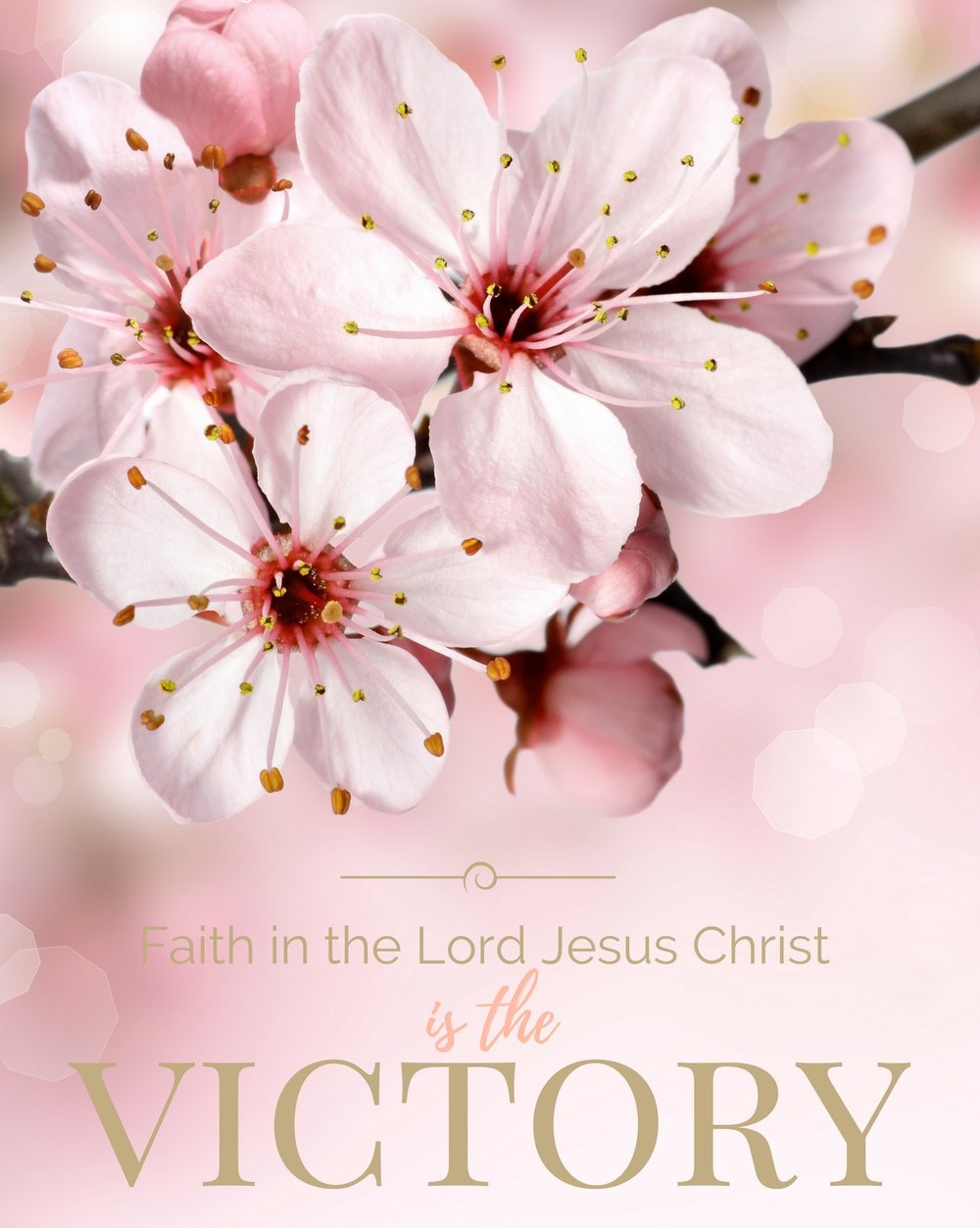 BORN OF GOD – Jesus Christ is Lord