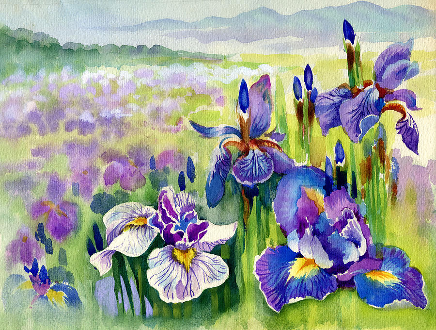 SPLENDOUR – Jesus Christ is Lord